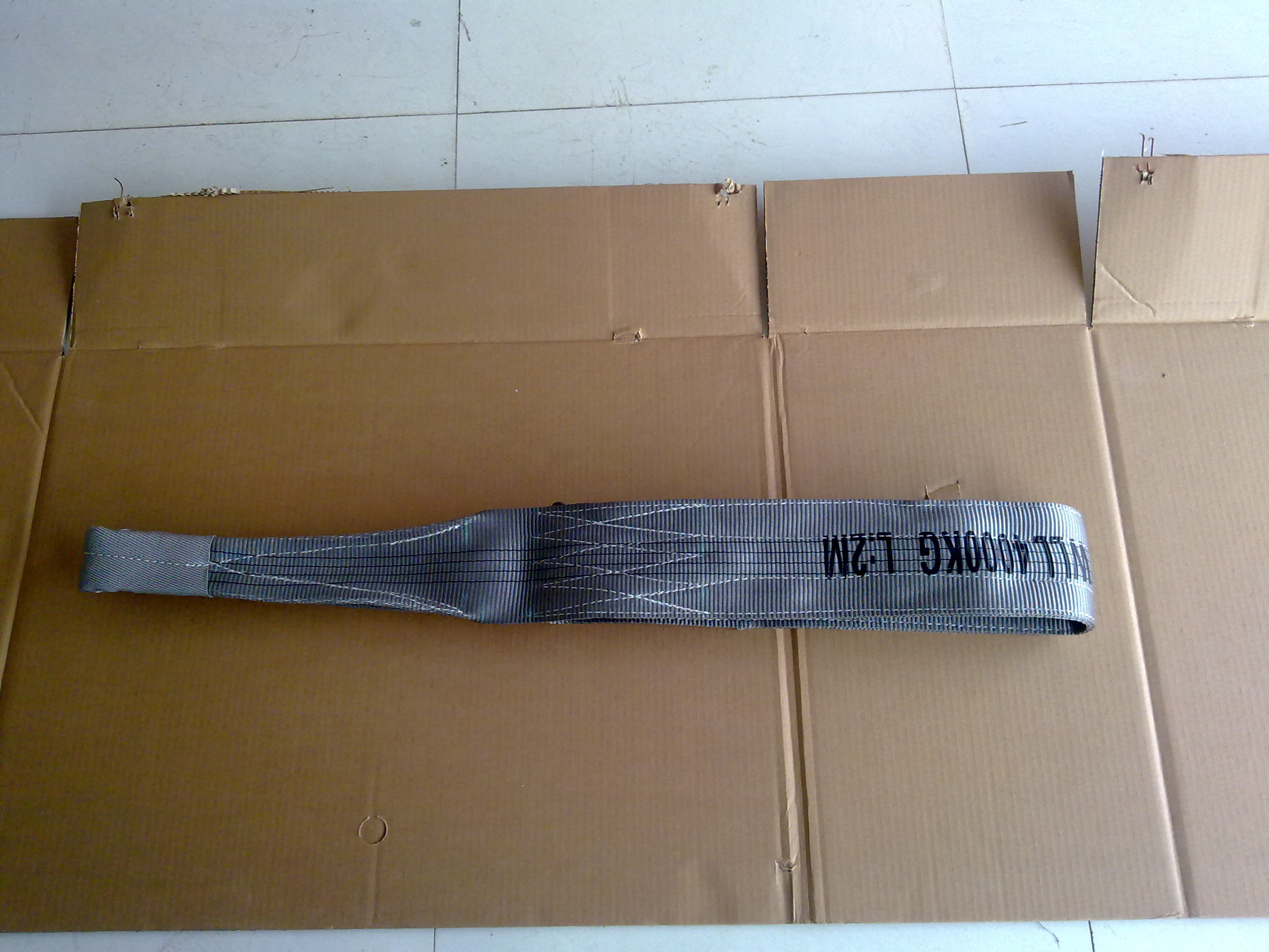 EN 1492-1 4T Polyester Flat Webbing Sling